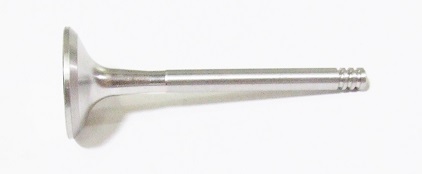 048109611D Exhaust Valve 98-05 Beetle, 94-02 Cabrio, 93-12 Golf, 93-12 ...